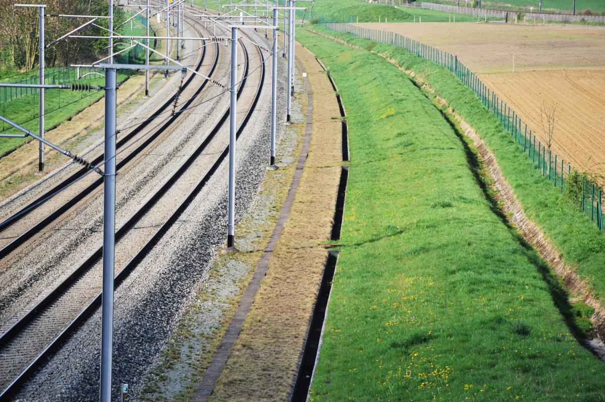 Infrabel | Modernisation de la ligne à grande vitesse n°1